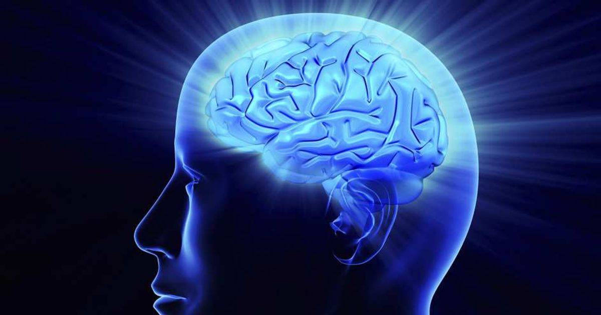 Mente e comportamento umano