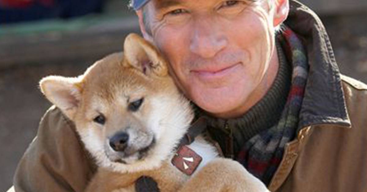 In Giappone oggi si celebra Hachiko e la sua incredibile storia